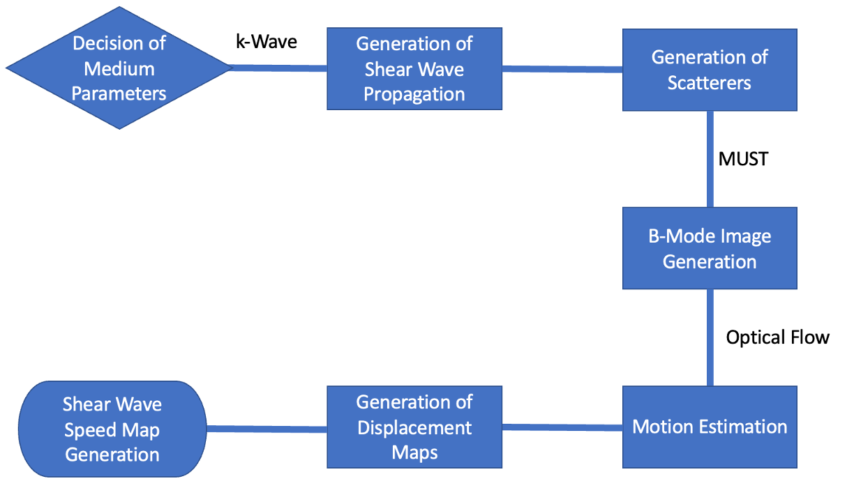 Simulation of Shear Wave Imaging for Stiffness - Ege Küçükkömürcü